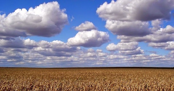 Como se formam as nuvens? | Ciência Online - Saúde, Tecnologia, Ciência
