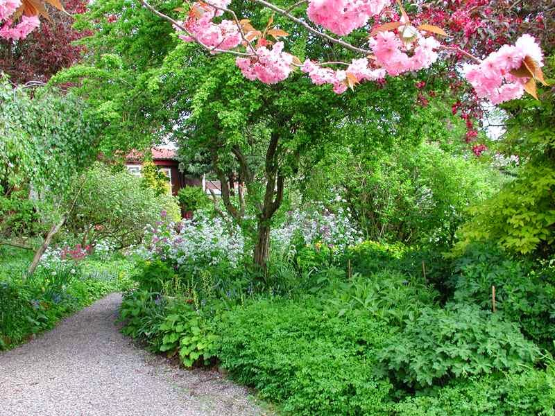 Entre el Pueblo Mágico: Las Hadas de Findhorn