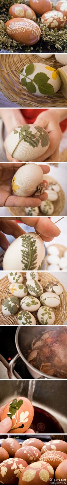 Egg DIY Projects