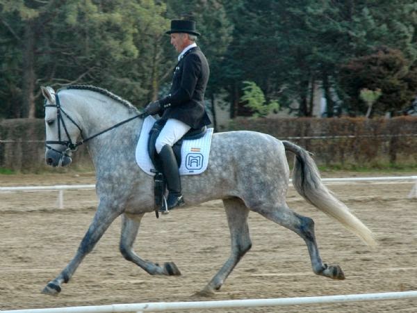 Equitación Espigares: Clinic con Juan Antonio Jiménez Cobo