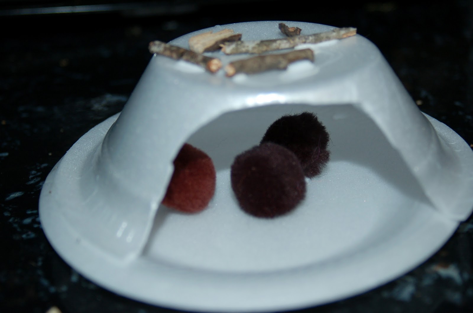 Make a Bear Cave Craft