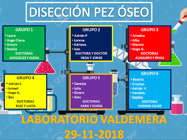 EL DESCONTROL : 2018