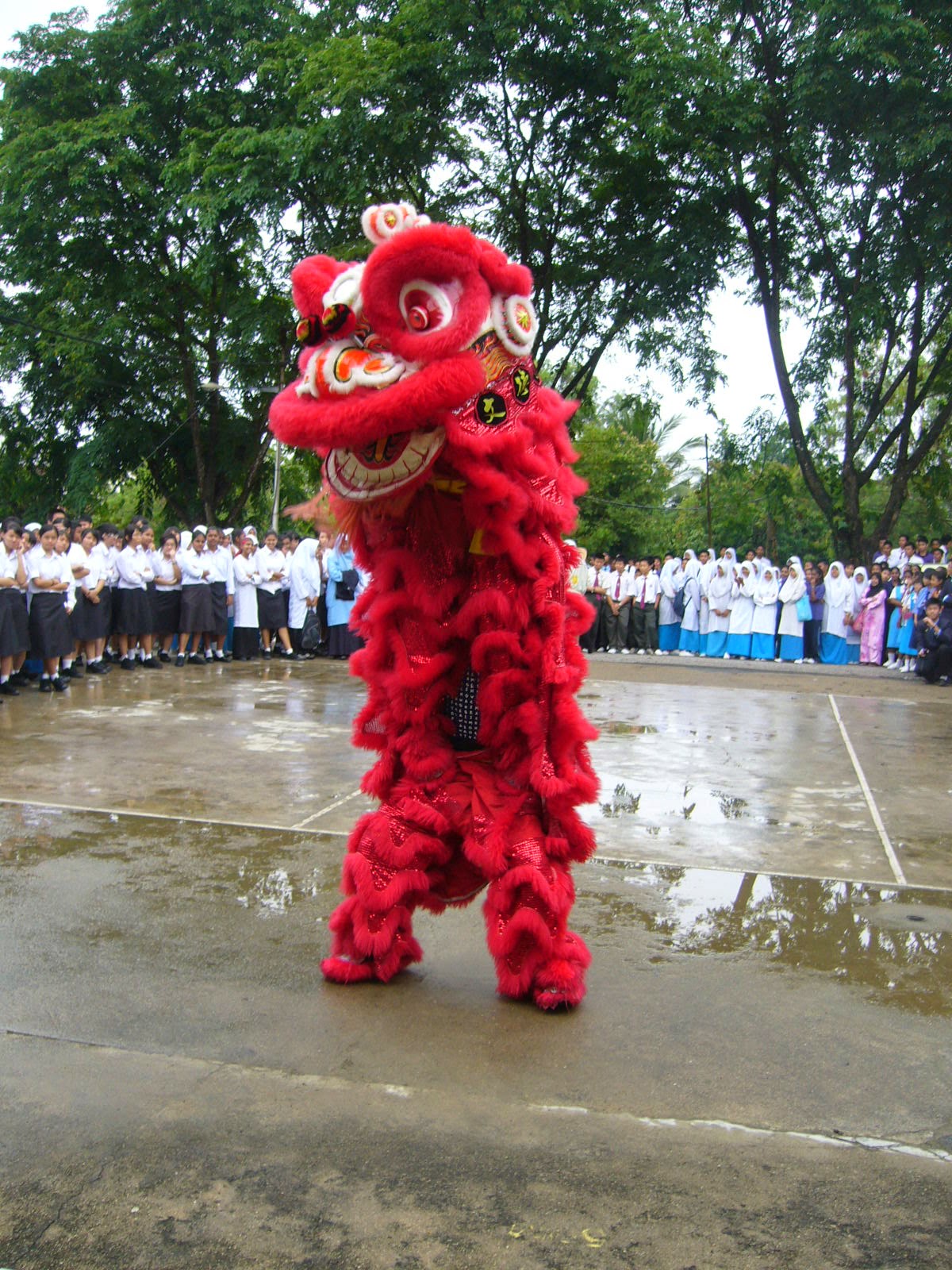 ECHO NAVIGATOR: Lion Dance