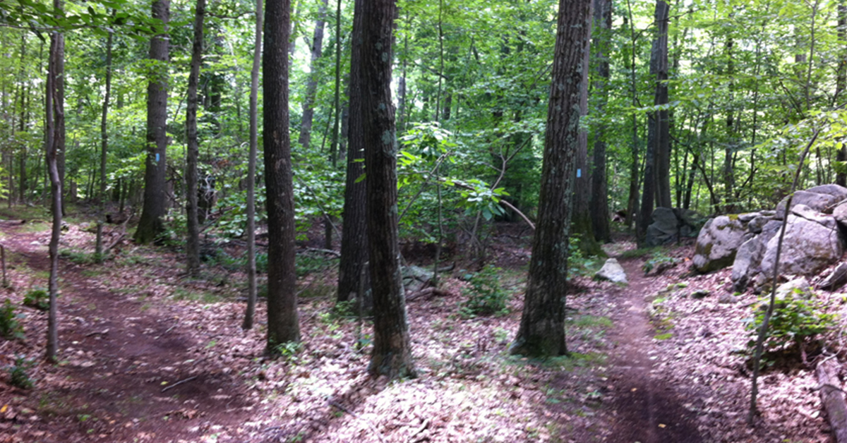Connecticut Explorer: Hiking The Aspetuck Valley Blue Blazed Trail