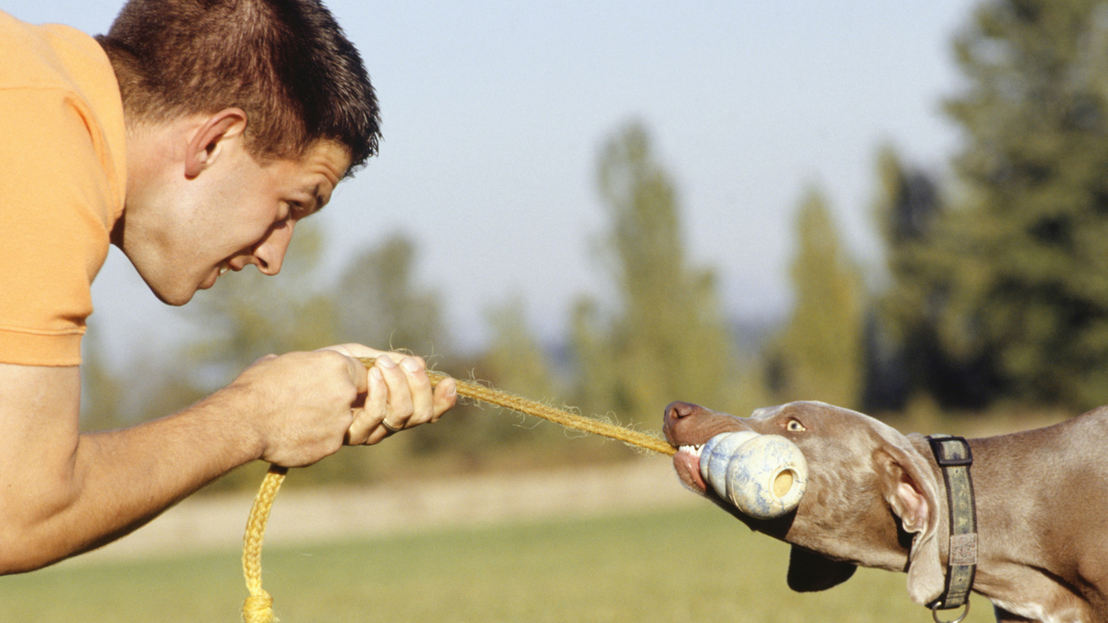 Best Friends: El Amor Hacia Tu Perro Naceria En La Mirada