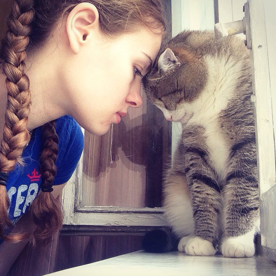 The Industrial Twilight: Omnimar - "Start" [2015]