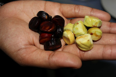 Chitty Boy and Me: Kerdas Fruit @ Buah Genuak