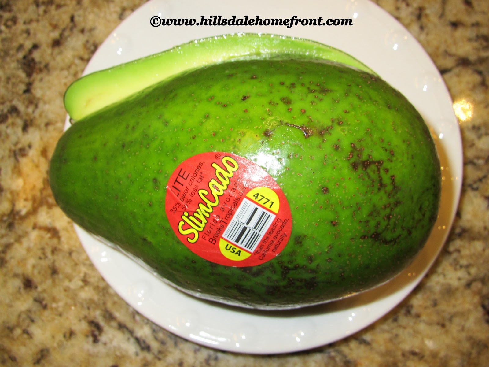 The SlimCado - Family Fun Journal