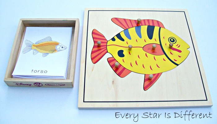 Montessori-inspired Fish and Water Unit with FREE Printables - Every ...