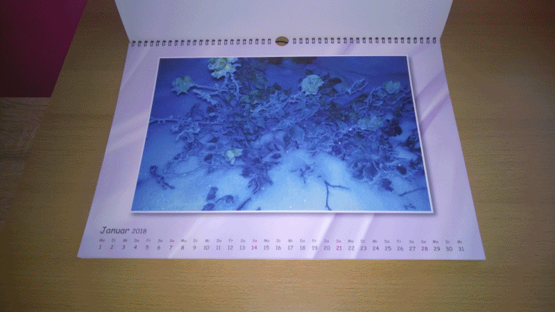Mein Bild Kalender