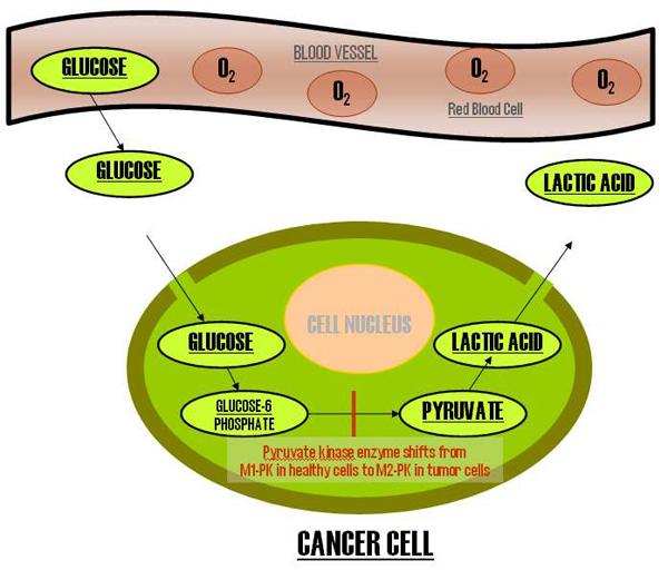 Wisdom From Above...For Cancer: The SWEET Side of Cancer