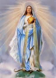 budak bangka: Sekilas tentang Maria Immaculata