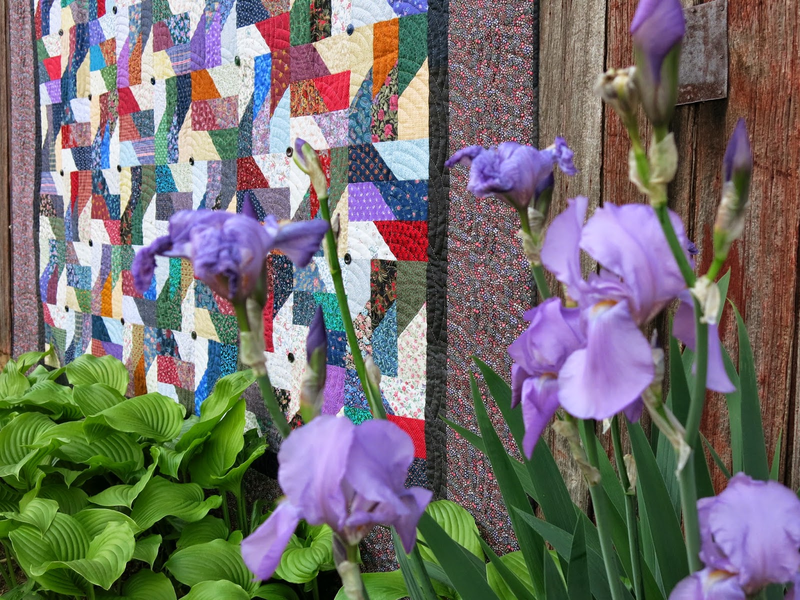 Miss Andrea Quilts: Quilt Photo Shoot at the Umholtz's