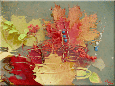 animowanegifkijesiennemireczki: Animowane gify jesienne liscie