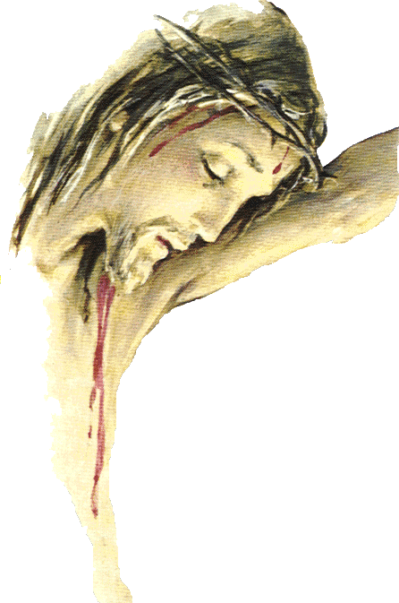 Gesù ci mostra il Padre: sulla Croce - Voce di uno che grida nel deserto