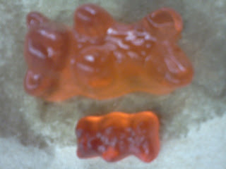 Schneider Science : Gummy Bears Lab