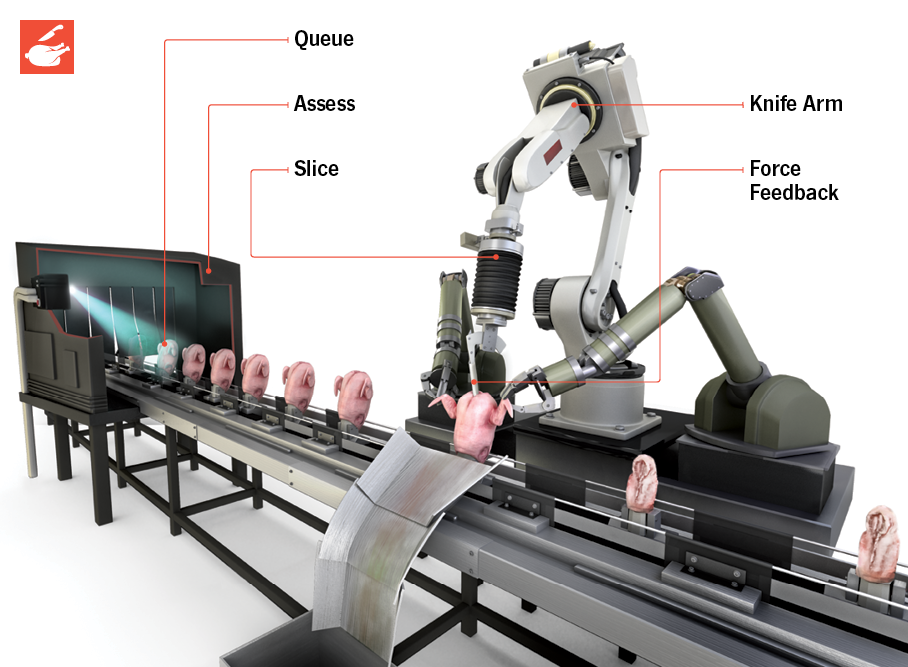 Object of Design: Robotic Butcher...robots, they are coming...they are here