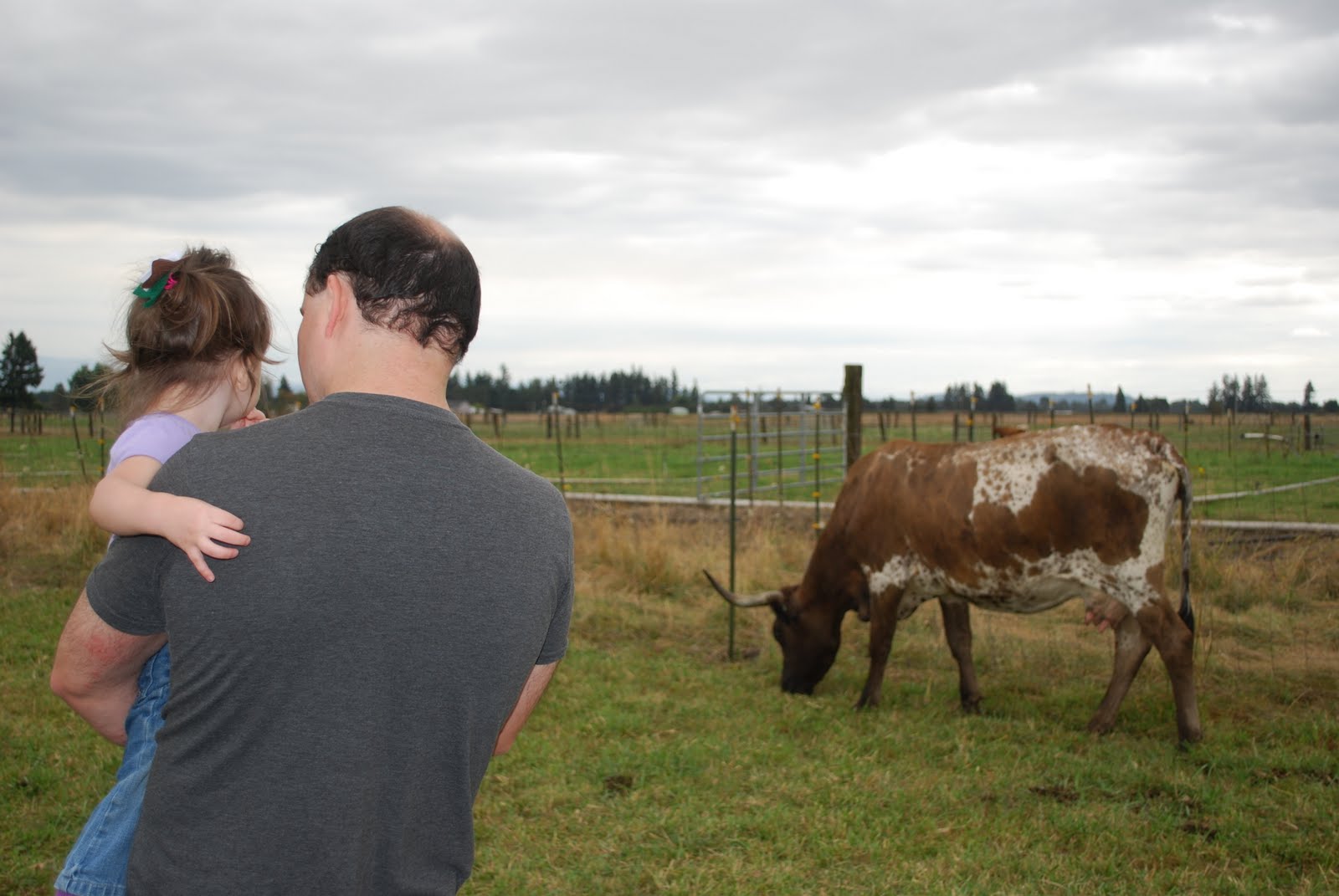Homeschooling in the Mid-Willamette Valley: Ling Farm- Texas Long Horn ...