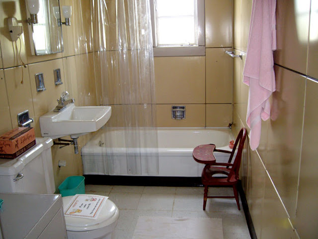 The Digital Research Library of Illinois History Journal™ : The History ...