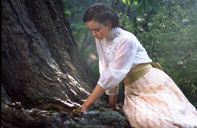 Live to Read: Tuck Everlasting
