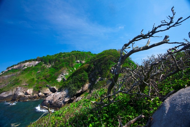 Queimada Grande: Το πιο επικίνδυνο νησί του κόσμου! (photos) ~ Μολών ...