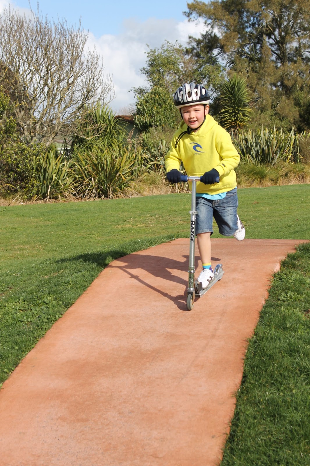 A Slice in the Life of Julie: New Discoveries - Ashurst Park, Pukete