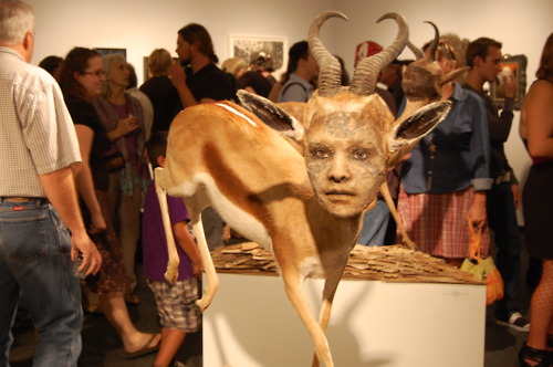 vicissitudesign: Dead or Alive