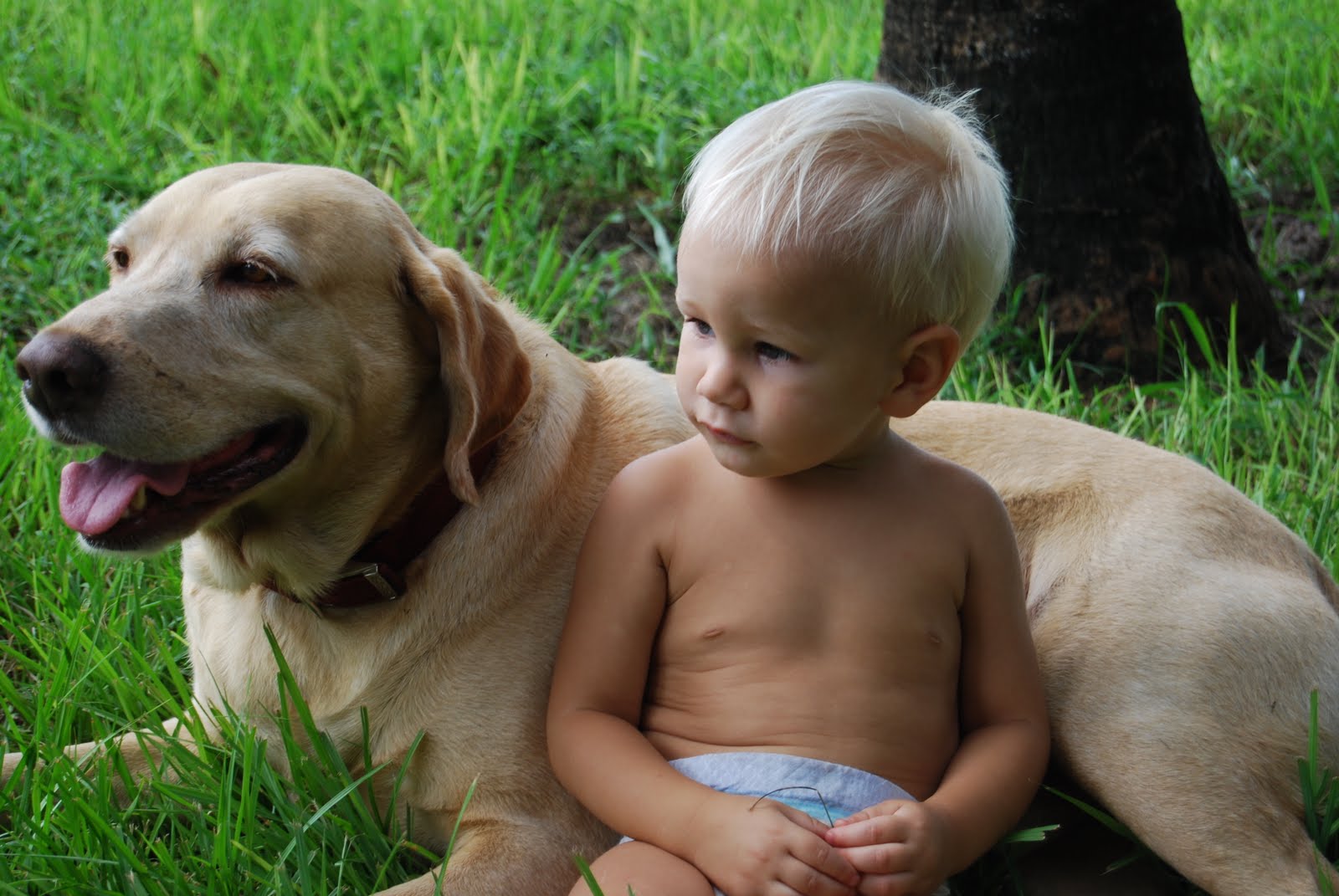 Where The Orange Blossoms Grow...: A Boy and His Dog :)