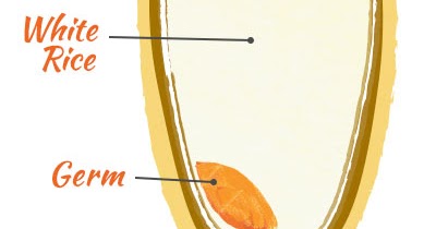 ALL ABOUT RICE AND MORE