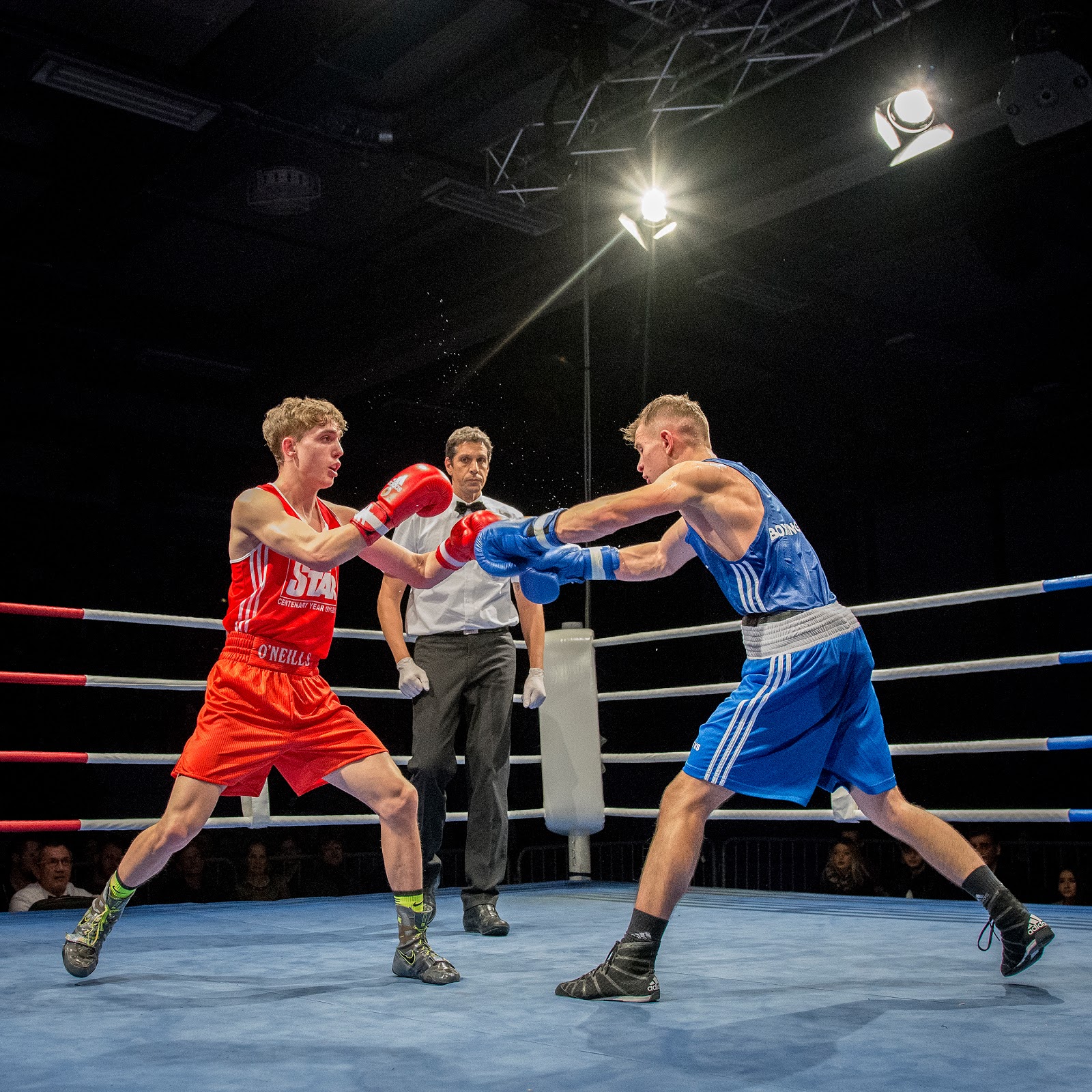 TageBilder: Boxen – Boxing VS gegen Irland – Das war die Boxgala am 15 ...