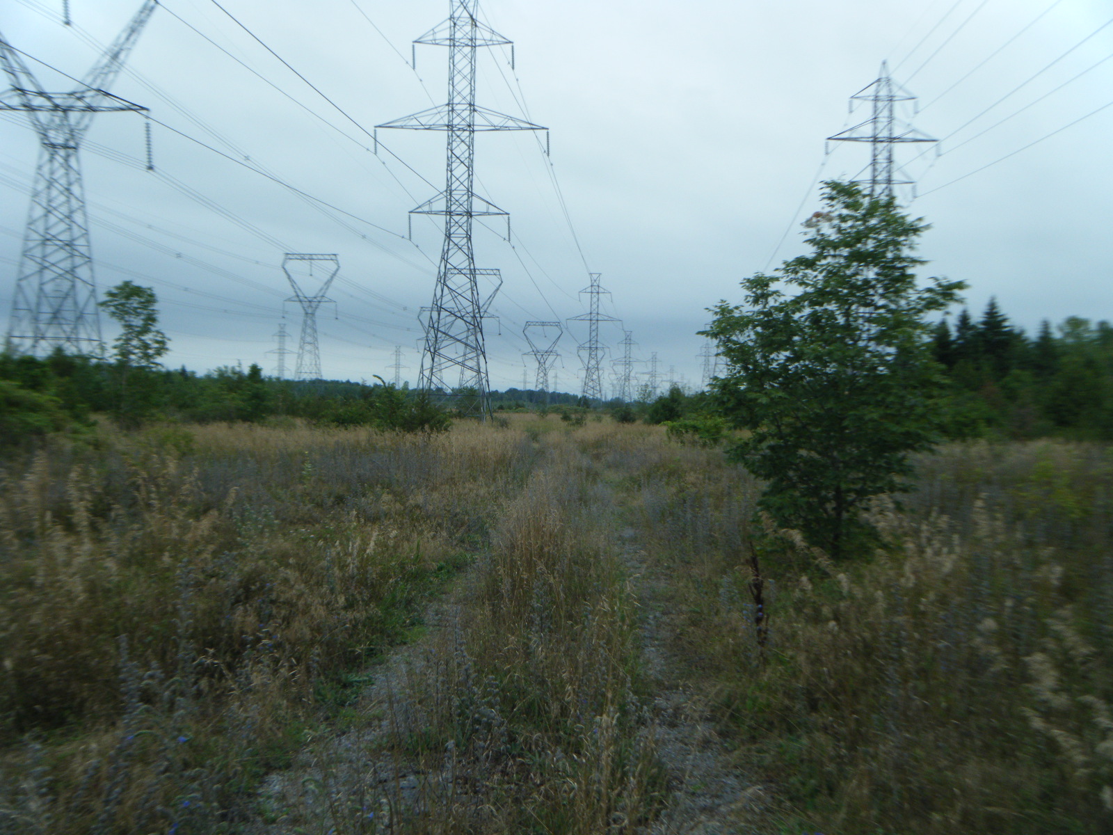 TeamNFI: Hydro Line- Unity to Highway 38
