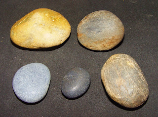 LA MIA PREISTORIA: ANATOMIA DELLA SELCE