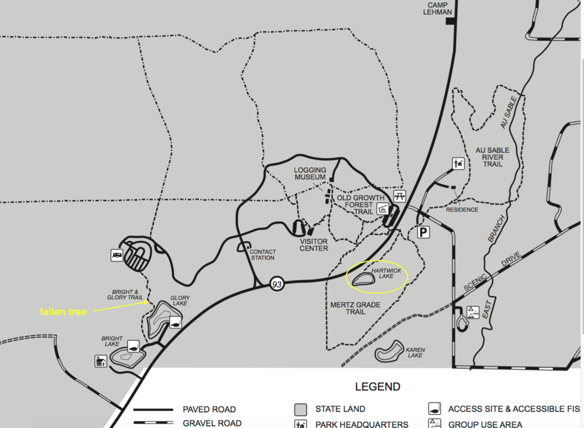 Travel Reviews & Information: Grayling, Michigan / Hartwick Pines State ...