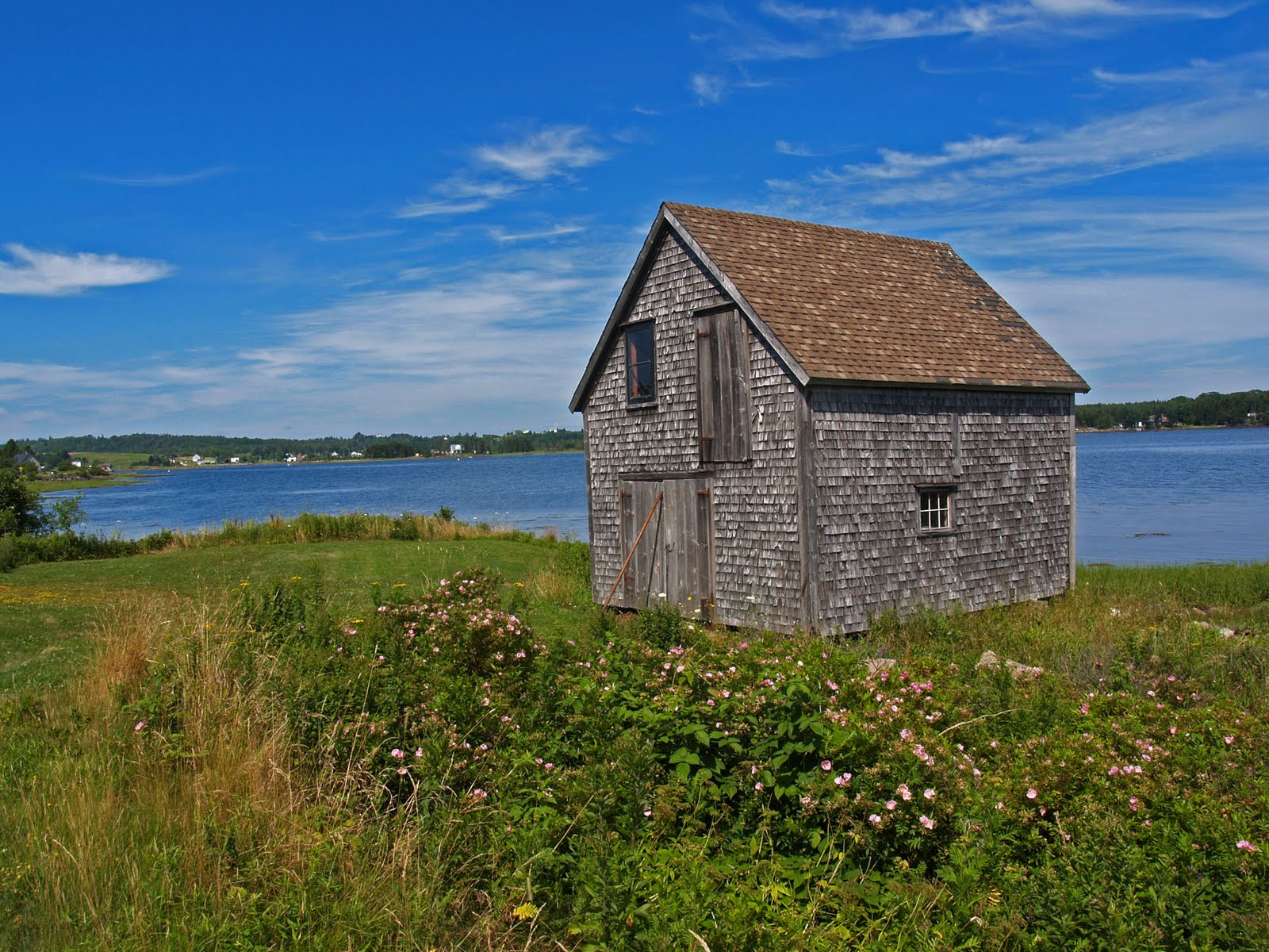 Silverback: Gray Shack