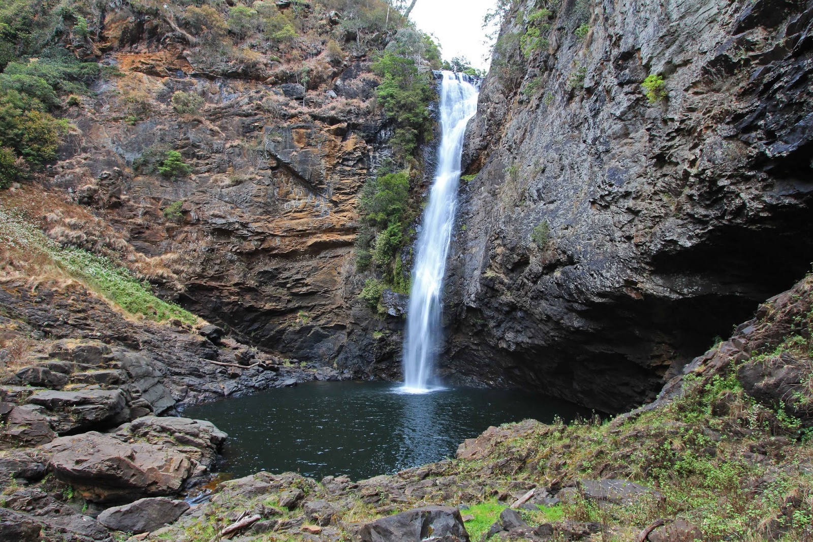 awildland: Visiting the relatives - Manning River 60r, 23r and 8r