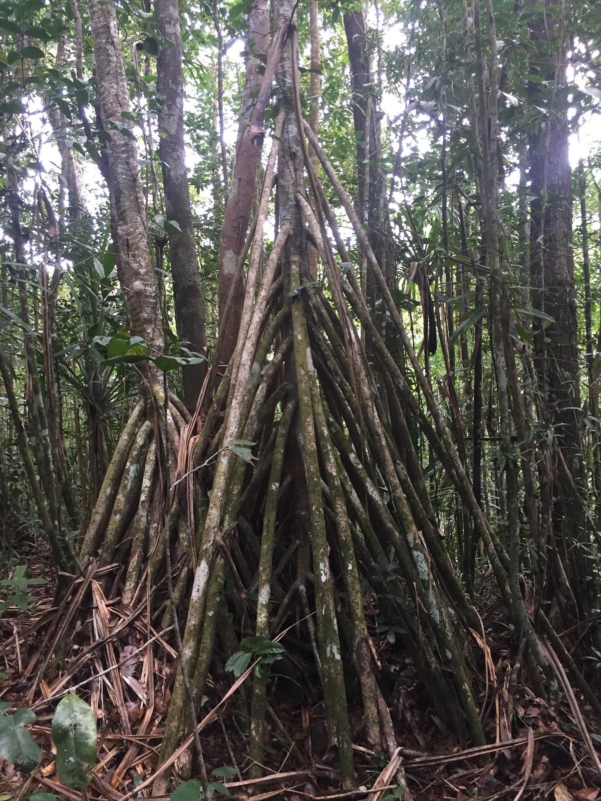 The Final Countdown... Dragons too :)