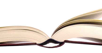 Write Now: Translating Reading into Fine Writing by Susan Reinhardt