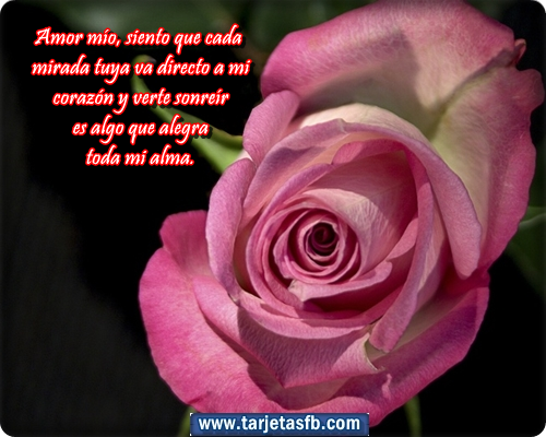 Frases de una rosa - Imagui
