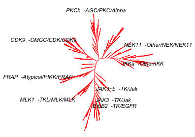 R for Biochemists: Visualizing the kinome in R - a 'simple' tree...