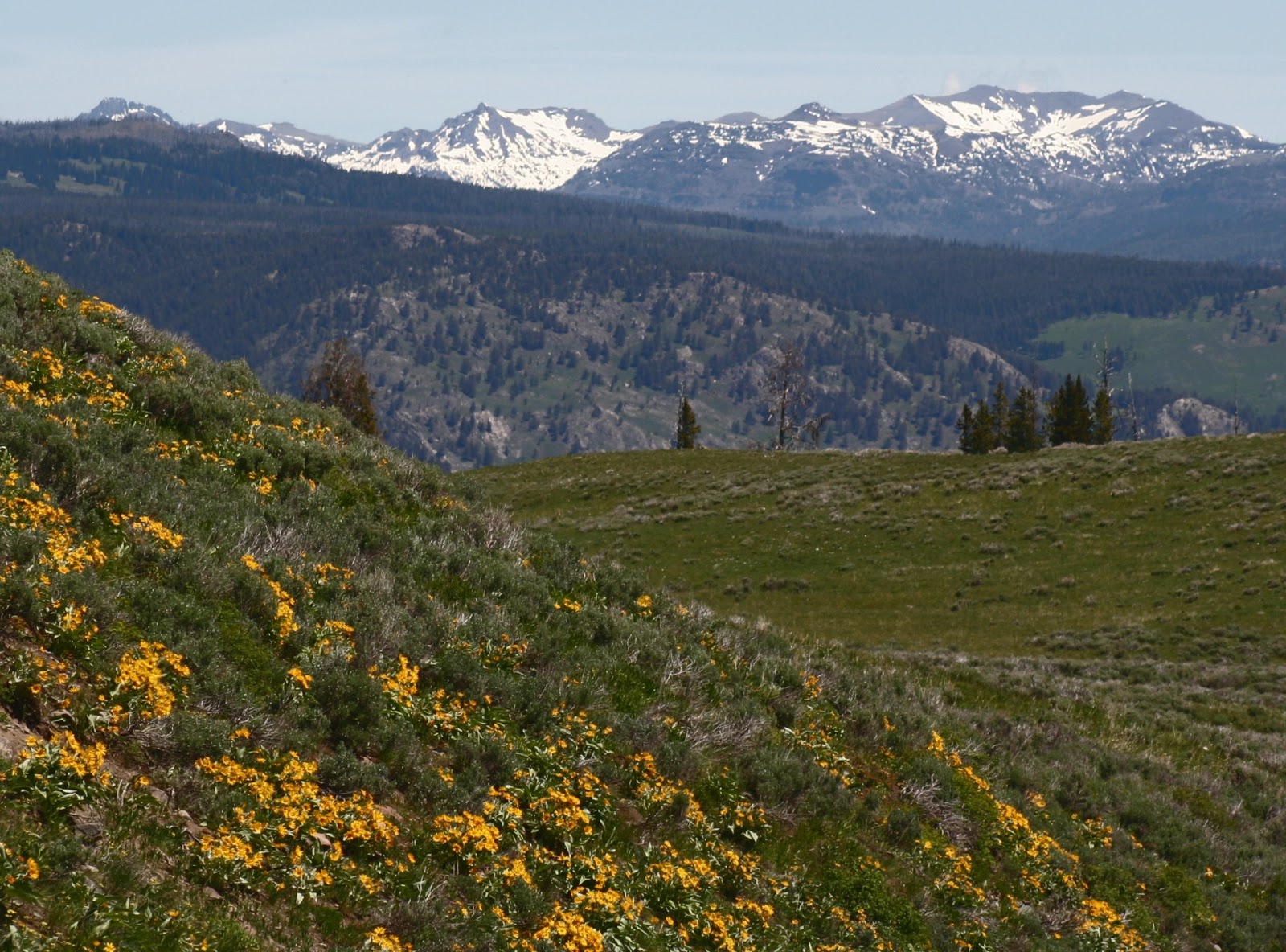 The Travels of LynDen Haus: Incredible Yellowstone scenery ...