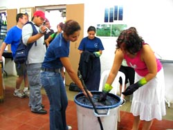 El Salvador Pilgrim: INDIGO ....a Natural Dye.....El Salvador