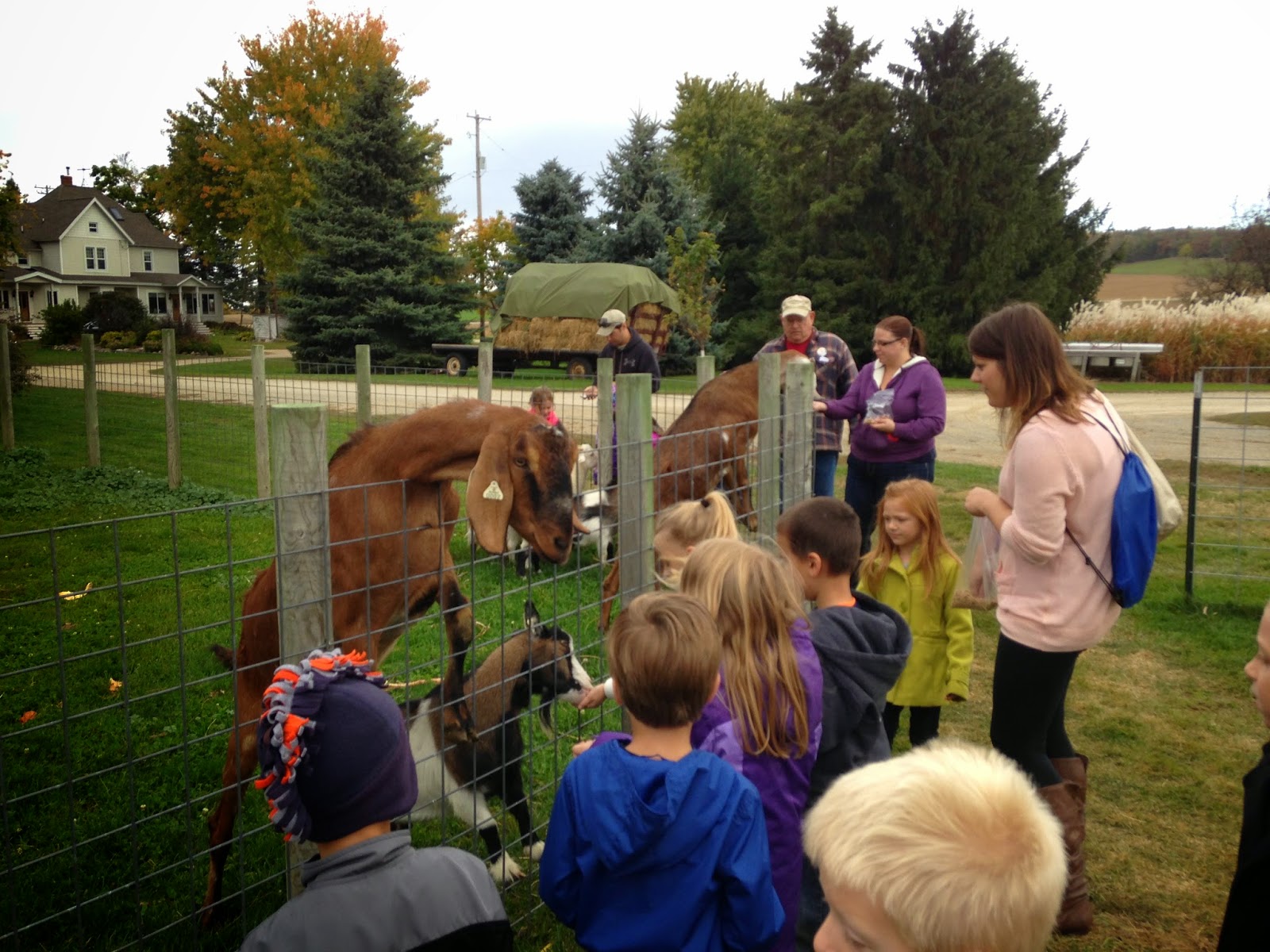 Kindergarten Visits Busy Barns | Johnson Creek Schools