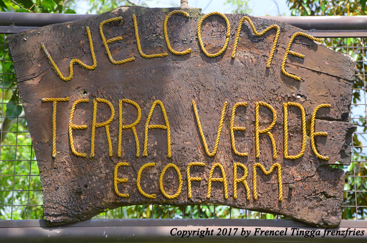 Frenz Fries: Terra Verde Ecofarm and Resort, Maragondon