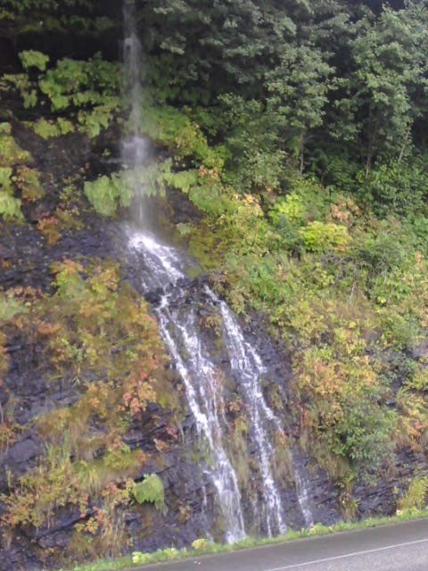 Living with Henry and Sullivan: August 2011