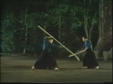 Why the Naginata (Glaive) is Different to the Yari (Spear)