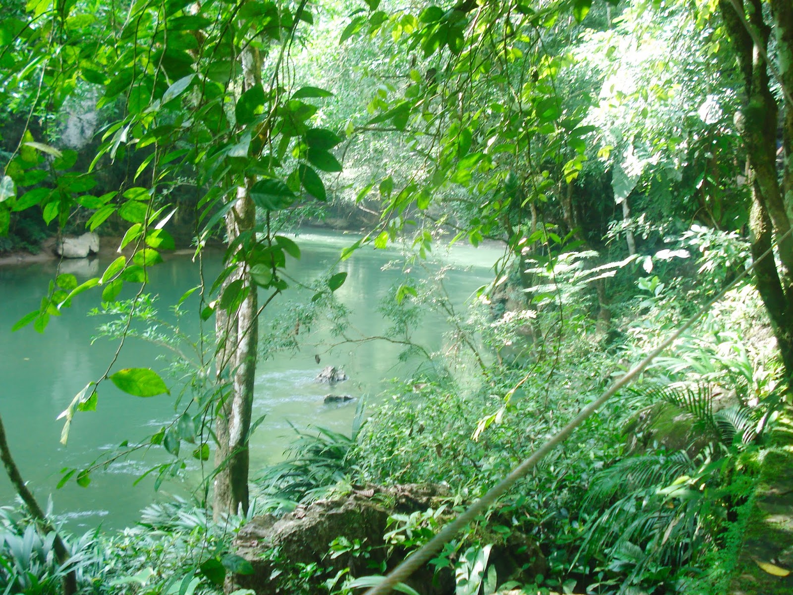 La reserva río claro, un paraíso ecológico.