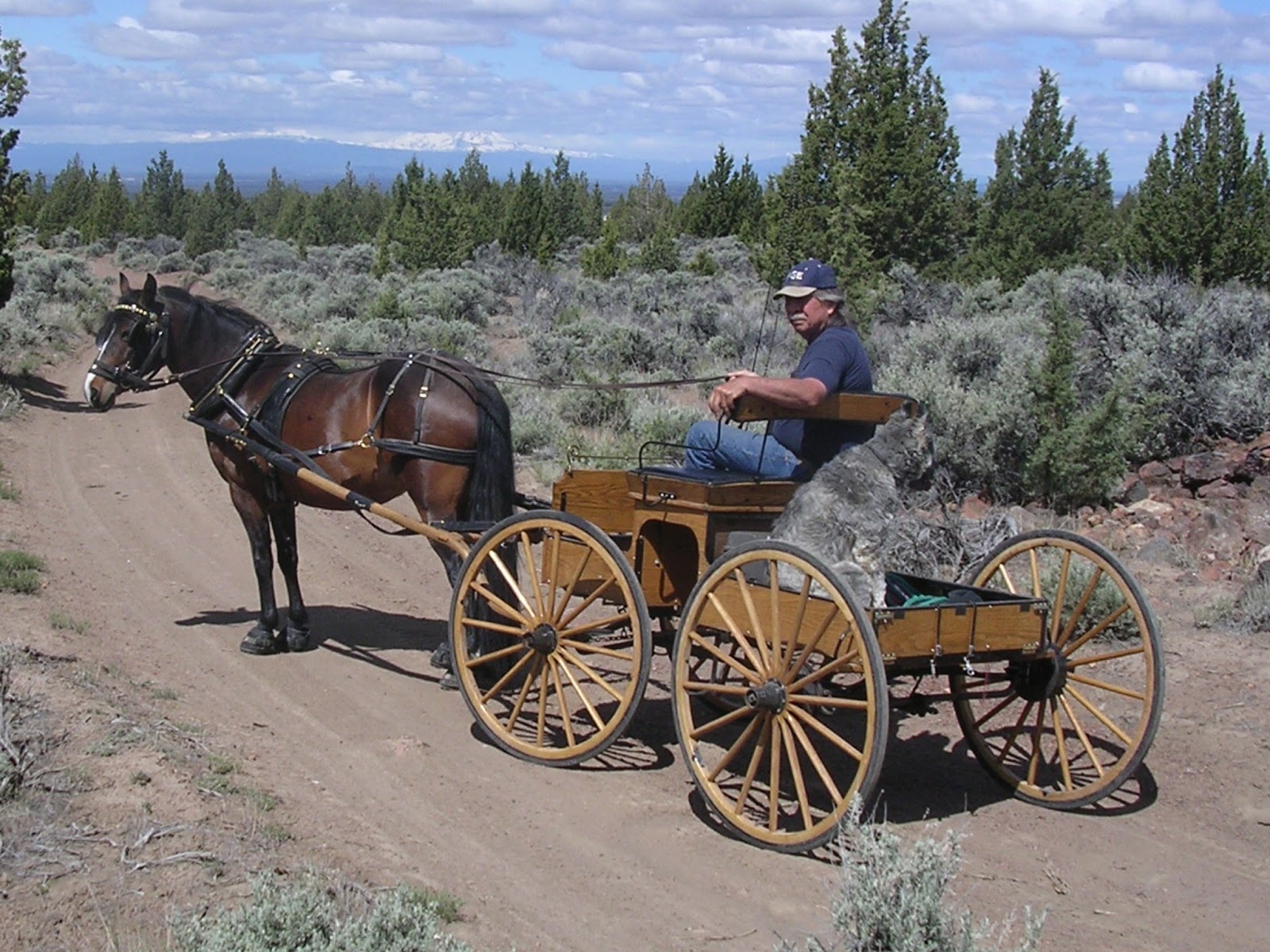 Restoring a Carriage