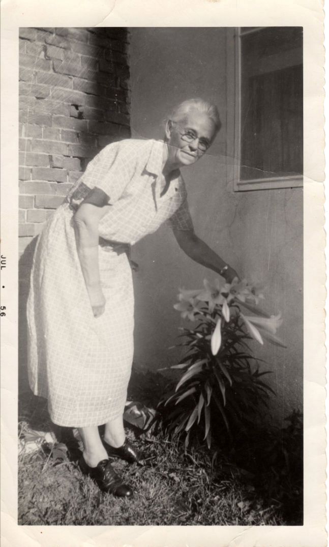 Barron Family Tree: 2012