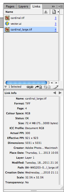 Design Practice: Indesign Workshop