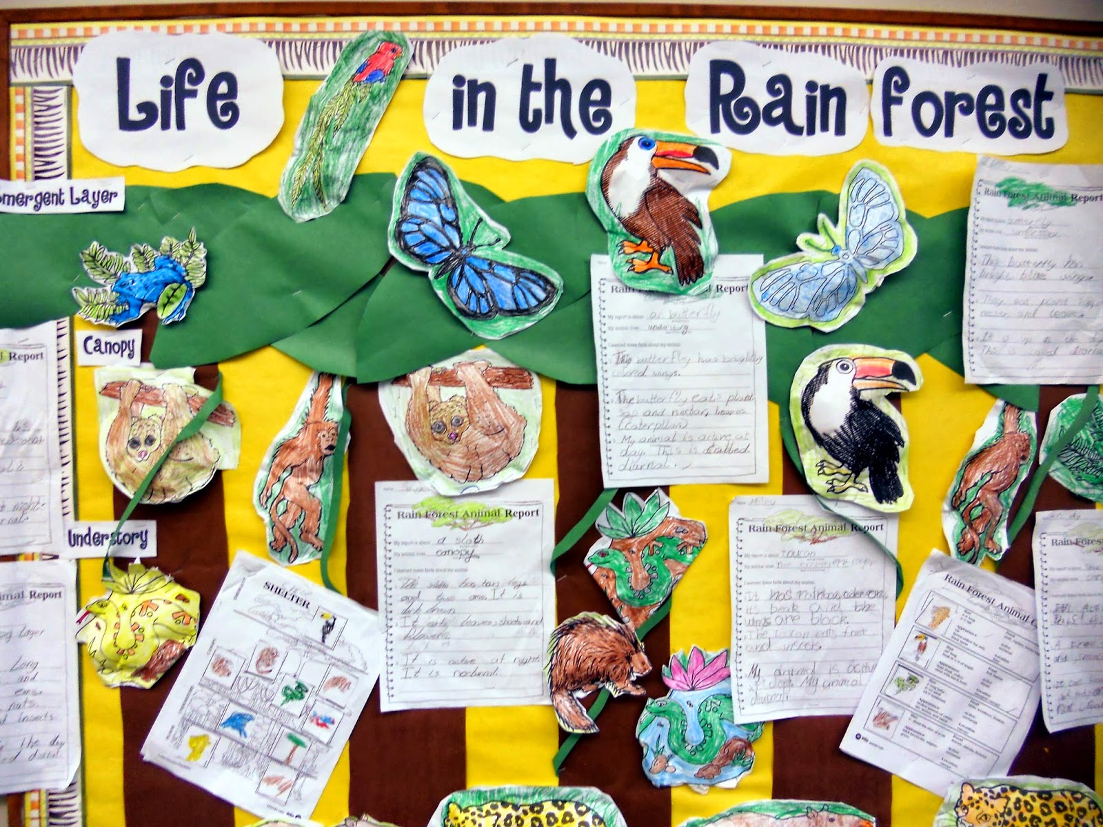 JNelson's First Grade Blog: The Rain Forest, Shapes, and a Special Day
